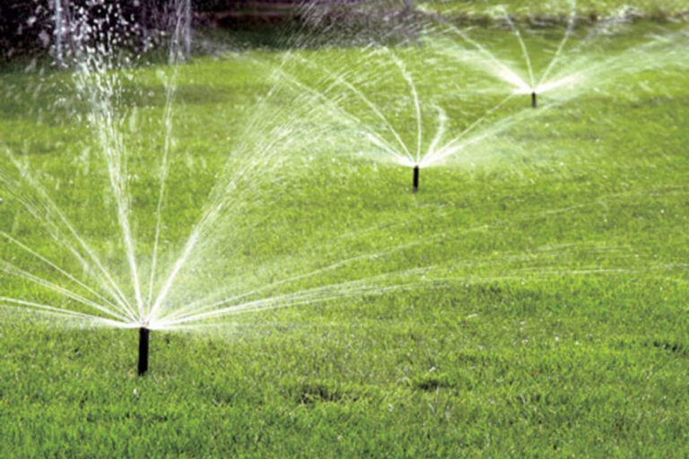 Micro Irrigation Solutions – RENMAKCH India Pvt. Ltd.