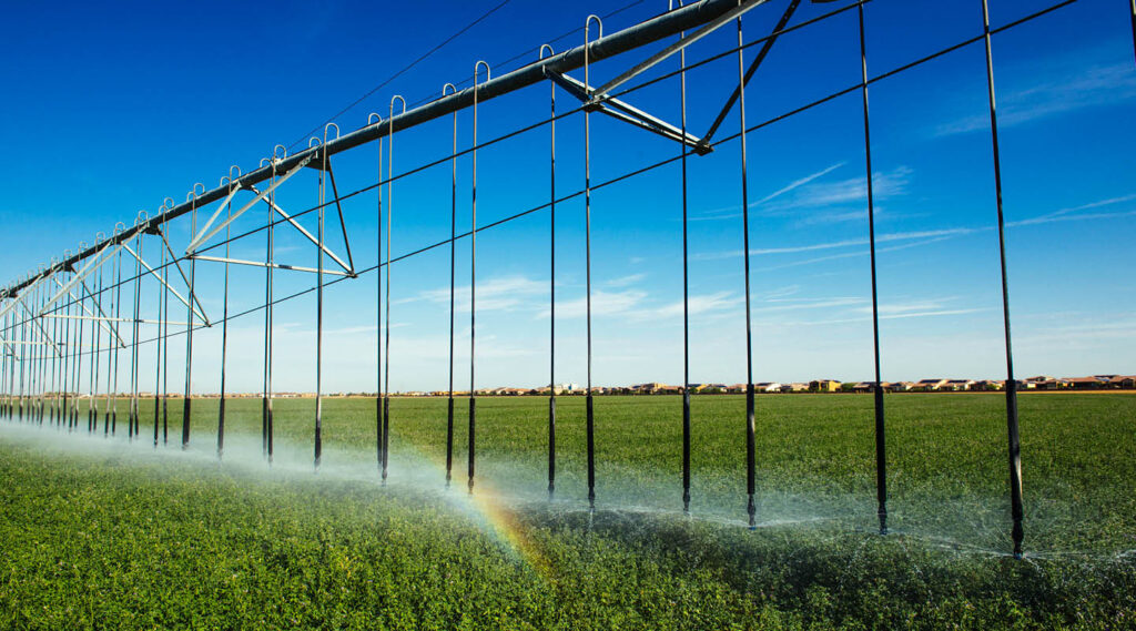 Micro Irrigation Solutions – RENMAKCH India Pvt. Ltd.